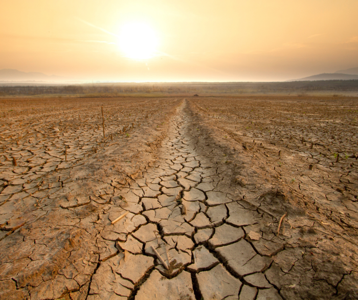 The ARC Centre of Excellence for Climate Extremes | Australia’s ...