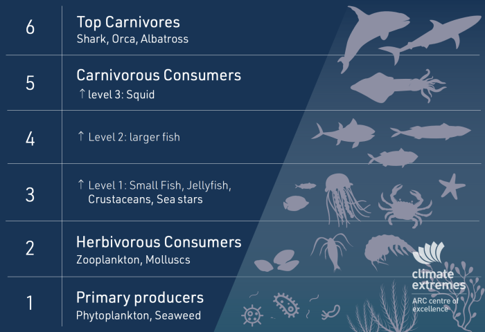 The ARC Centre of Excellence for Climate Extremes | What is ocean ...
